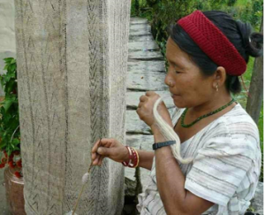 ALLO (Nettle) FARMING IN NEPAL - Natural Fiber Nepal Pvt. Ltd.